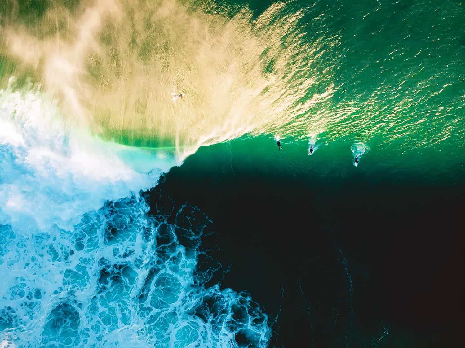 Learn How To Surf in 9 Easy Steps