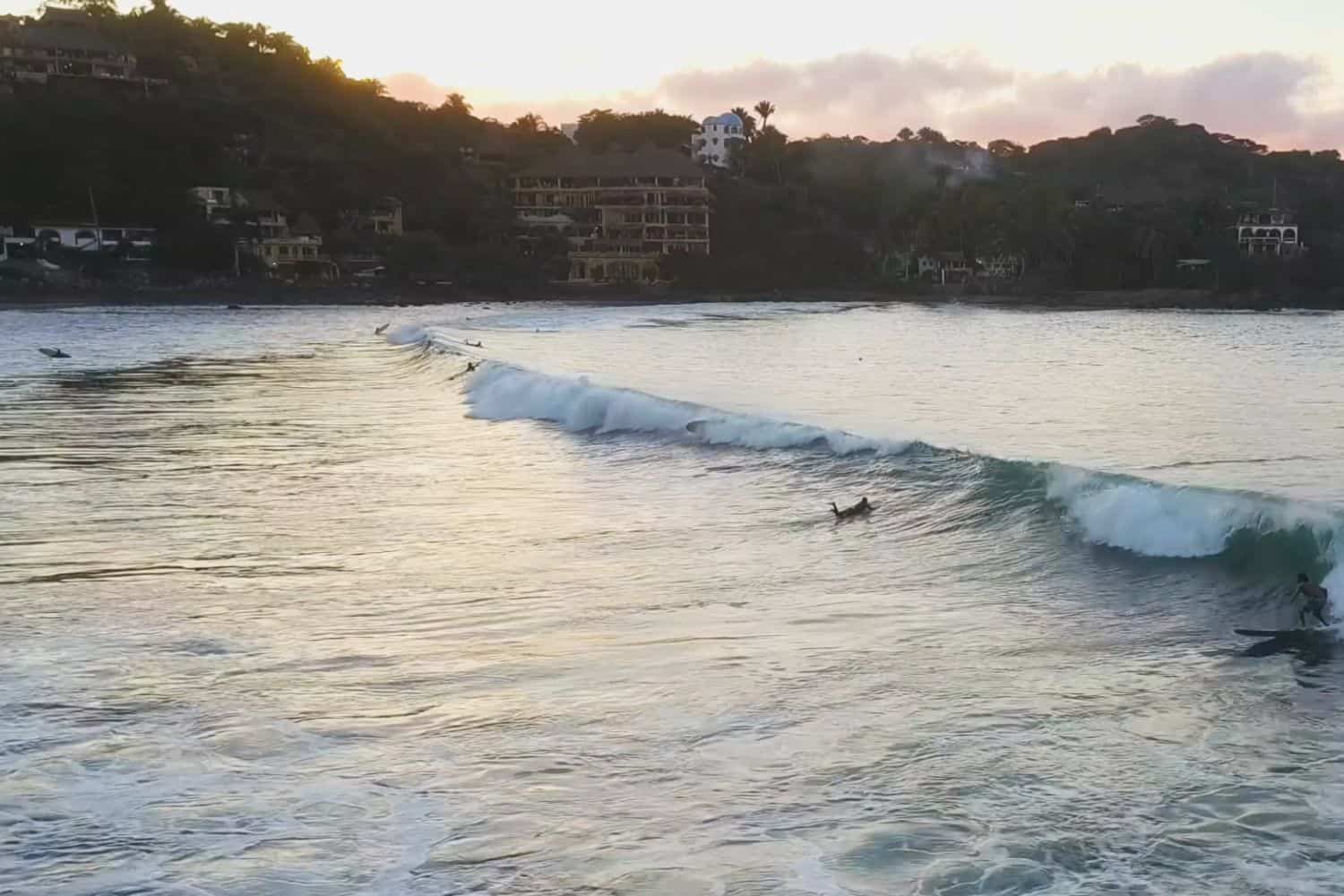 Top 10 Beginner Surf Spots in the United States