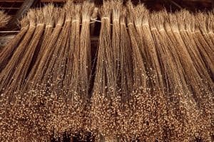 Understanding Surfboard Materials: Foam, Glassing, and Resins