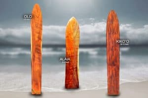 The Evolution of Surfboard Design: From Alaia to Thrusters