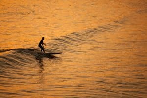 The Evolution of Surfboard Design: From Alaia to Thrusters