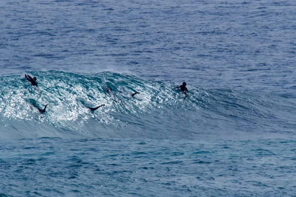 The Importance of Swimming for Surfers: Benefits and Exercises